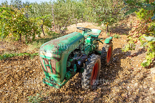 Rare agricultural tractor Holder A12 among the vineyards on sunny ...