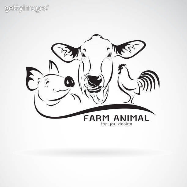 Vector group of animal farm label., Cow,pig,chicken. Logo Animal. Easy ...