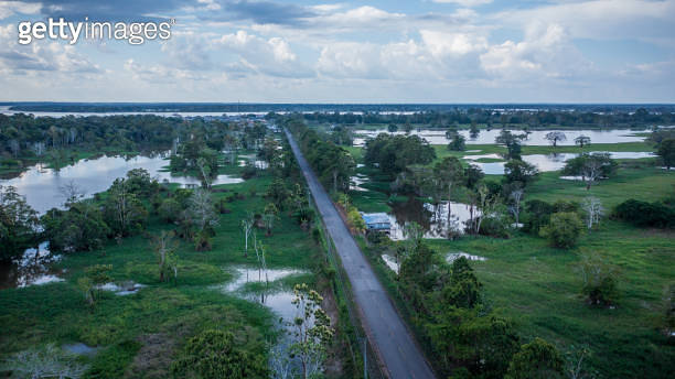 Aerial view of the BR 319 highway linking Manaus and Porto Velho in the ...