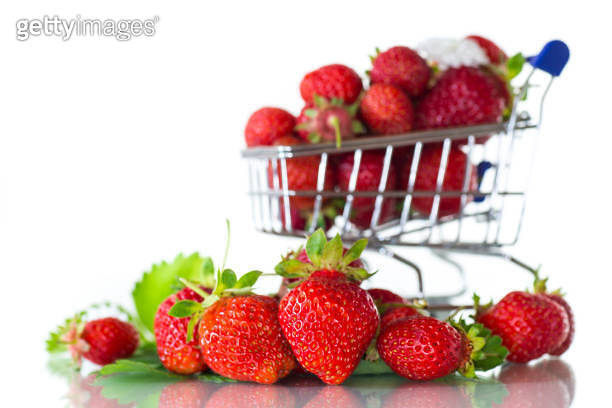 red ripe strawberry spring on a white background 이미지 (2158980697) - 게티이미지뱅크
