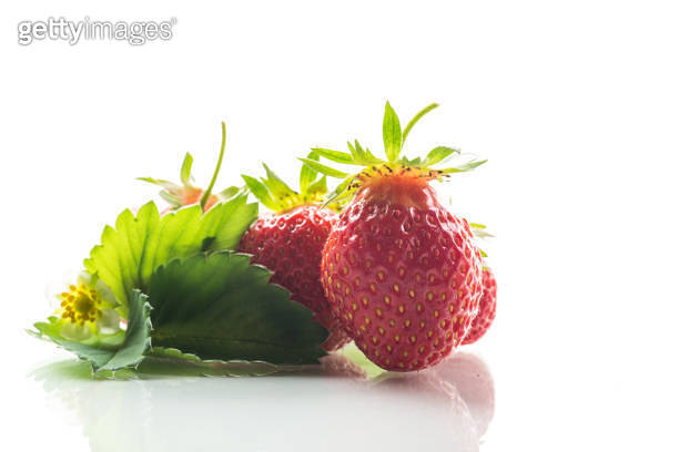 red ripe strawberry spring on a white background 이미지 (2154289228) - 게티이미지뱅크