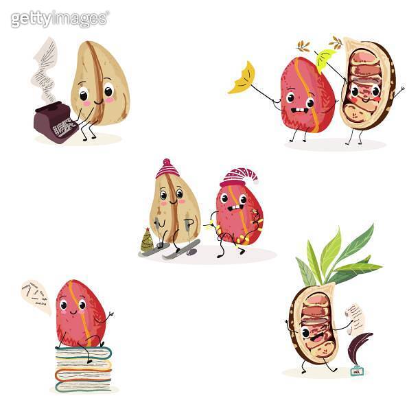 Cute cola nut characters set, collection. Flat vector illustration ...