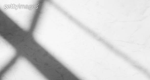 Shadow Background Abstract Leave Overlay Wall Floor Light Effect White ...