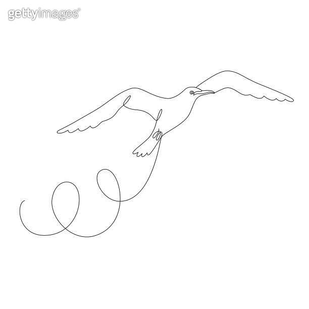 Flying bird, seagull is drawing as single continuous line in minimalism ...