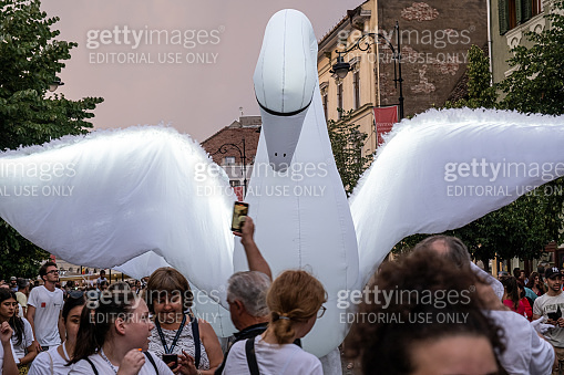 The street parade with artists in swan costumes 이미지 (2014999796) - 게티이미지뱅크