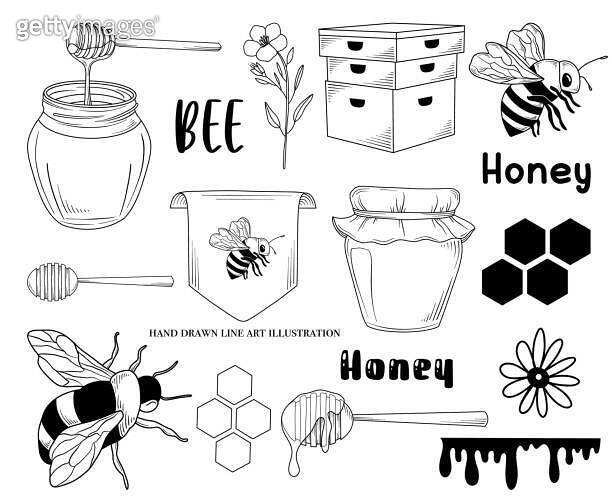 Line drawing bee, honey, beehive, beekeeping graphic set, hand drawn ...
