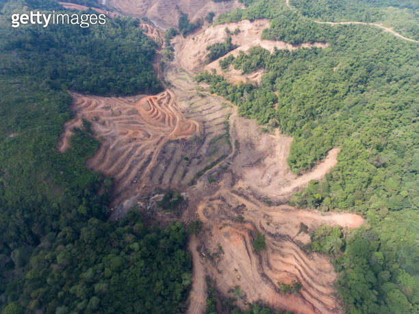 Aerial View of Rainforest Deforestation-Stock Photo 이미지 (2027853750 ...