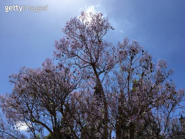 Tel Megiddo National Park in May in Israel. (2153732372) - 게티이미지뱅크