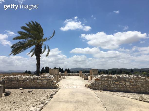 Tel Megiddo National Park in May in Israel. (2153732534) - 게티이미지뱅크