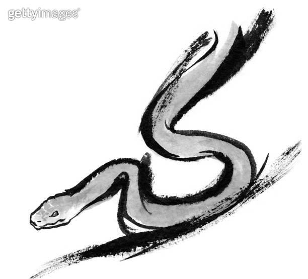 Ink painting of a snake with lively movement 이미지 (2161579962) - 게티이미지뱅크