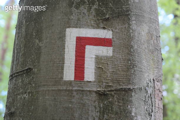 Walking trail marks and signs painted on trees showing direction for ...