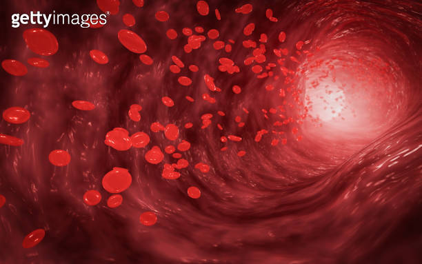 Red blood cells in an artery or blood vessel , flow inside body ...