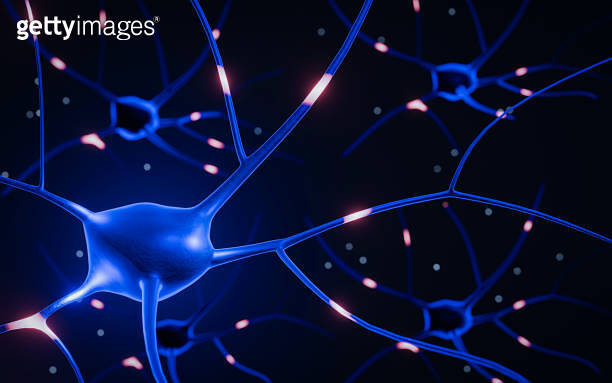 Nerves in the body model have electrical currents, indicating the ...