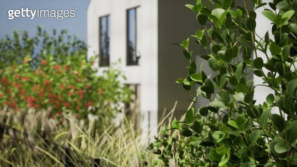 Architecture 3d rendering illustration of modern minimal house in ...