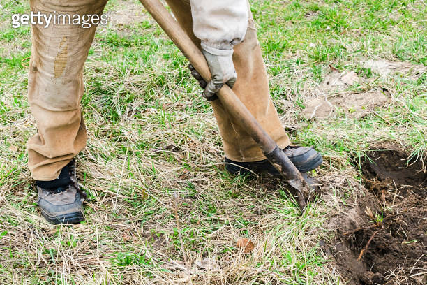 Worker male farmer man legs digging ploughing soil, ground with shovel ...
