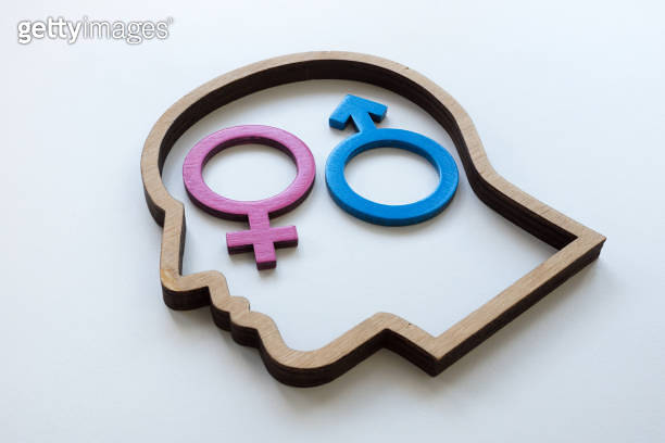 Heteronormativity concept. Head and gender signs. 이미지 (2023089101) - 게티 ...