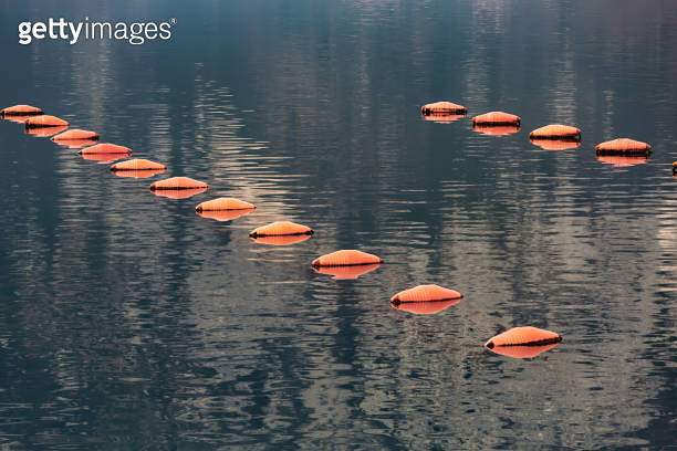 Orange mussel floats line calm waters of Kotor Bay, Montenegro ...