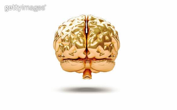 Human Brain Gold Rear View, Object + Shadow Clipping Path (1955232226 ...