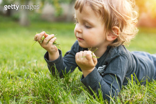 Young child playing with grass on a sunny day 이미지 (2000195269) - 게티이미지뱅크