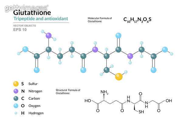 Glutathione. C10H17N3O6S. Tripeptide and Antioxidant. Structural ...