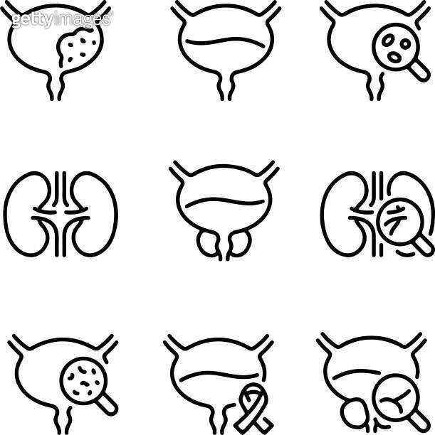 Icon set of urology urinary system anatomy organ health medical care ...