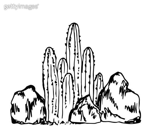 Hand drawn vector sketch with ink. Tall cacti, large stones, desert ...