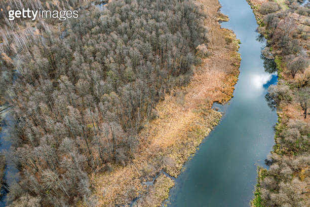 small river with coastal wetland. bare forest trees on riverbanks ...