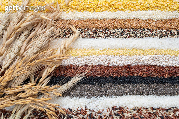 Dry barley,wheat,and rice ear on various organic cereal and grain seed ...