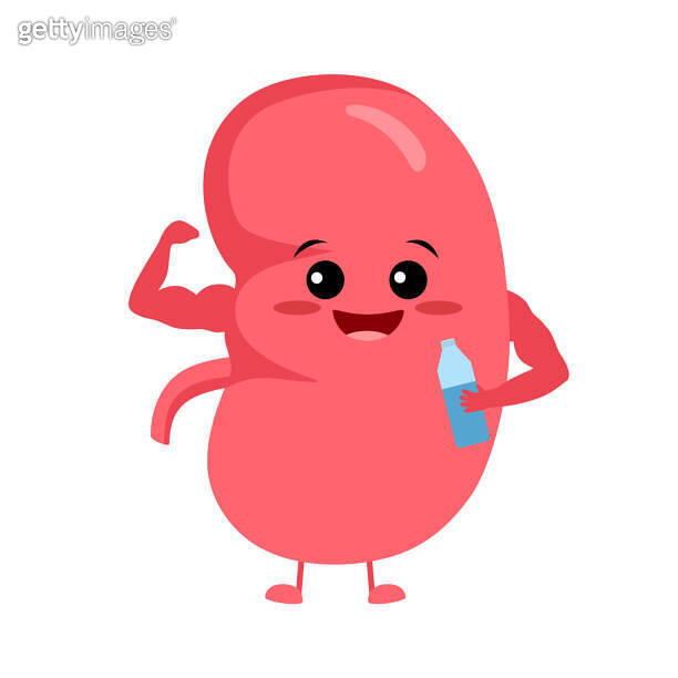 Happy cute smiling healthy kidney cartoon character show muscle biceps ...