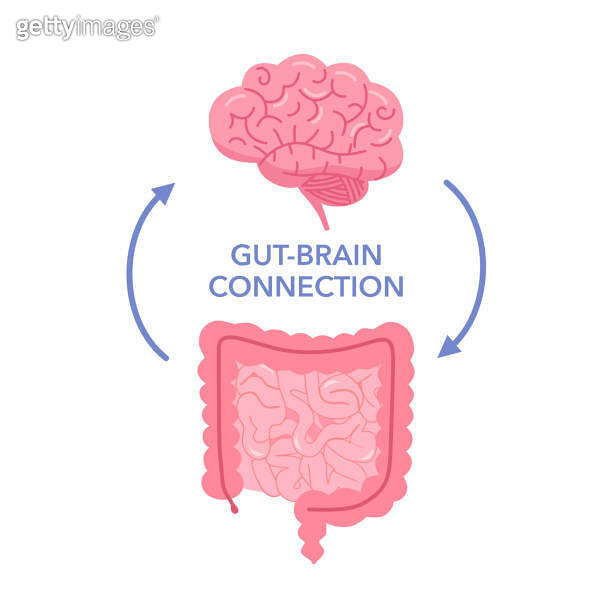 Connection of cute healthy happy brain and intestine gut. Relation ...