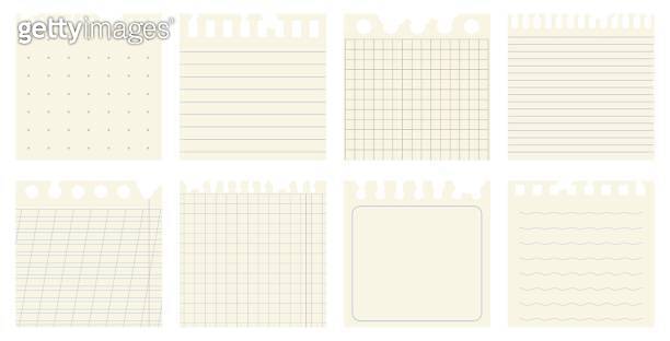 Various torn paper sheets from a notepad. Set of torn realistic pages. A collection of sheets ...