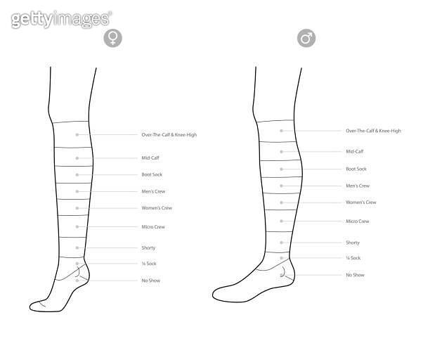 Diagrams of socks length with text names. Hosiery Fashion accessory ...