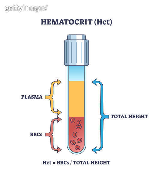 Hematocrit or HCT as red blood cells count in sample test outline ...