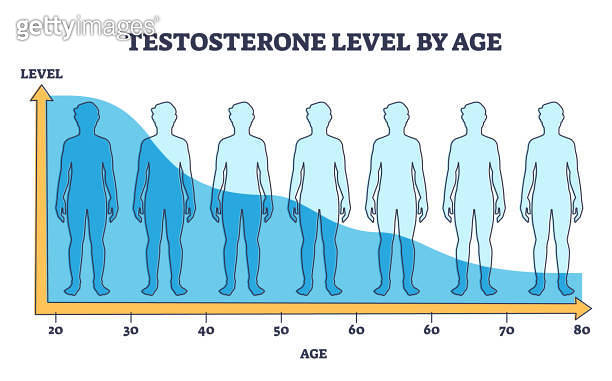 Testosterone level by age and hormone production reduction outline ...