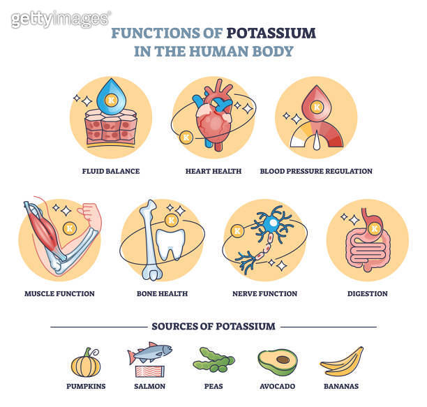 Functions of potassium in human body with sources in food outline ...