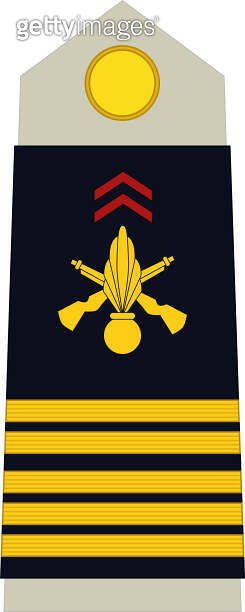 Shoulder pad military officer insignia of the France COLONEL ...
