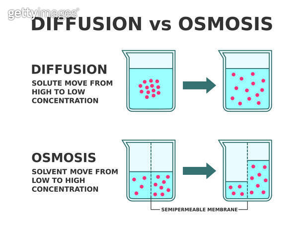 Diffusion vs Osmosis. Solution transport process. (1939500198) 일러스트, 무료 ...