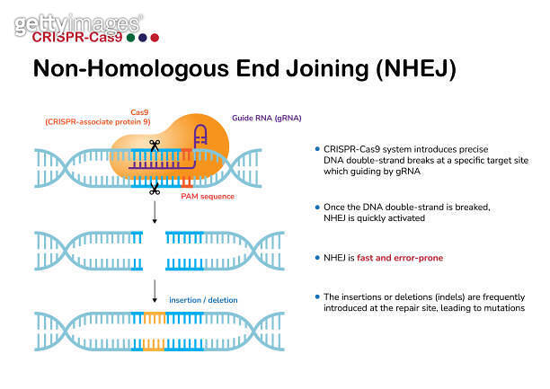 Overview of Non-Homologous End Joining (NHEJ) in CRISPR-Cas9 Gene ...