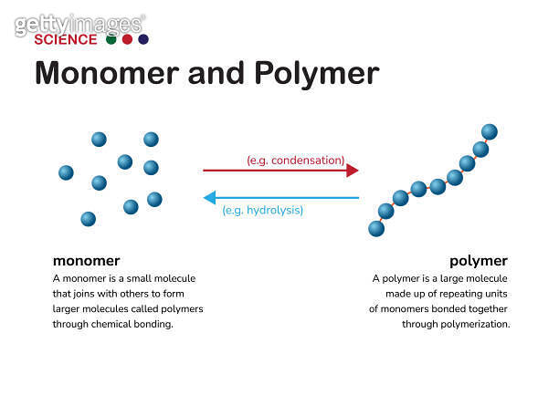 Understanding Chemistry: From Monomer to Polymer. Monomers, the ...