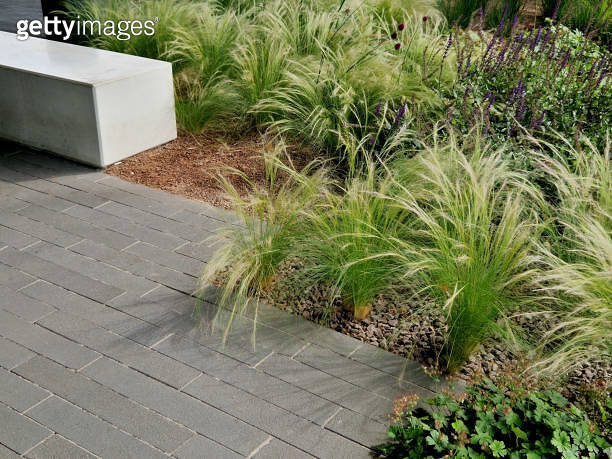 autumn flowerbed with perennials and grasses in a square with black ...