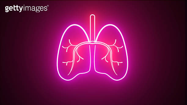 Glowing purple and blue neon human lung animated video. Human ...
