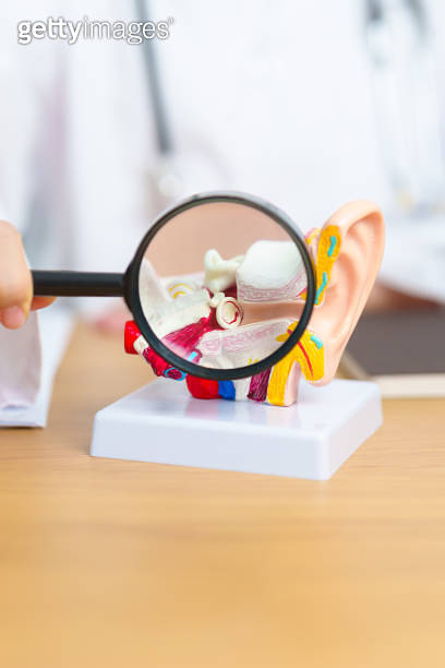 Doctor with human Ear anatomy model with magnifying glass. Ear disease ...