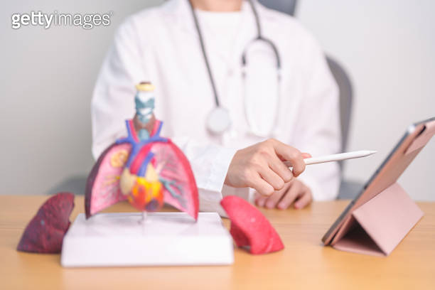 Doctor with heart Cardiovascular and Respiratory anatomy for Disease ...