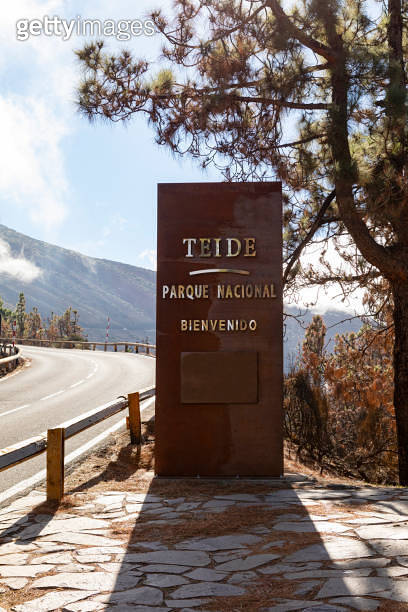 Tenerife's Teide National Park, burnt forest after 2023, Teides ...