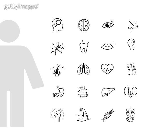 Vitality icon set for human-improving products. 이미지 (2080822737) - 게티이미지뱅크