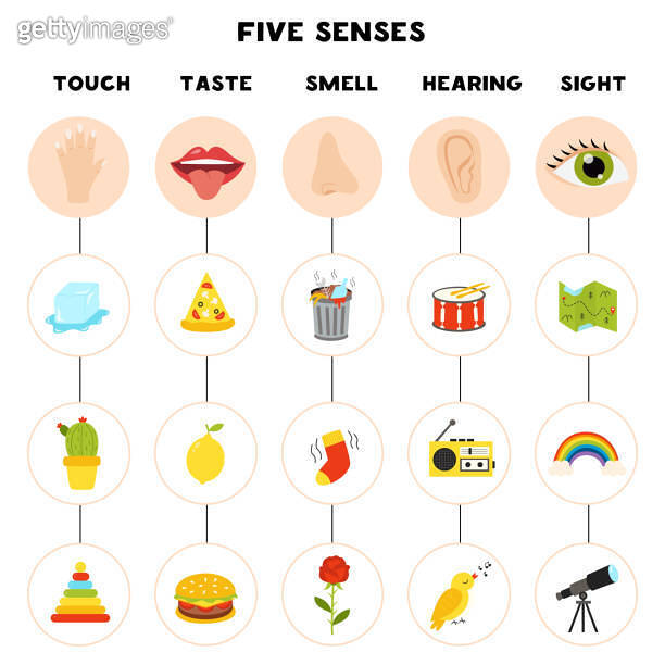 Five senses poster. Vector illustration. Sense organs. 이미지 (2152194750 ...
