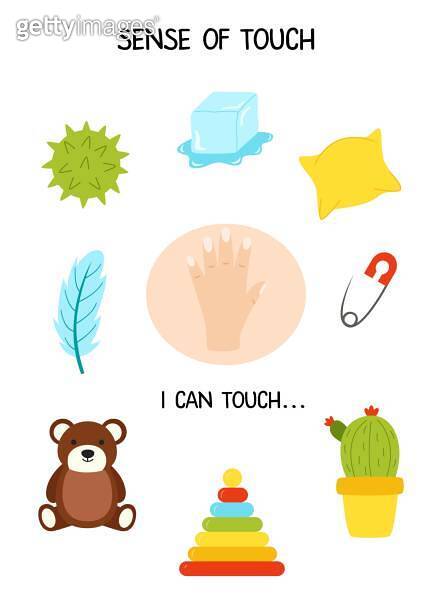Sense organs. Sense of touch. Vector illustration. Worksheet for kids ...