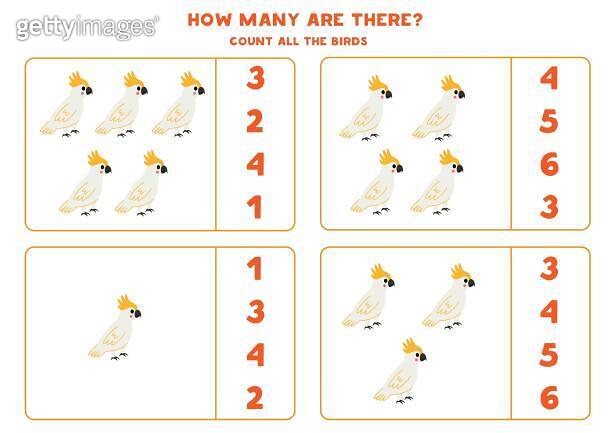 Count all cute cartoon cockatoo birds and circle the correct answers ...