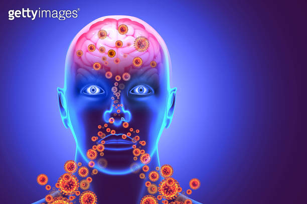Brain viral infection, Viral meningitis and encephalitis. 3d ...