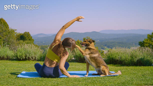 Brown doggo gives paw to a young woman as she stretches towards him ...